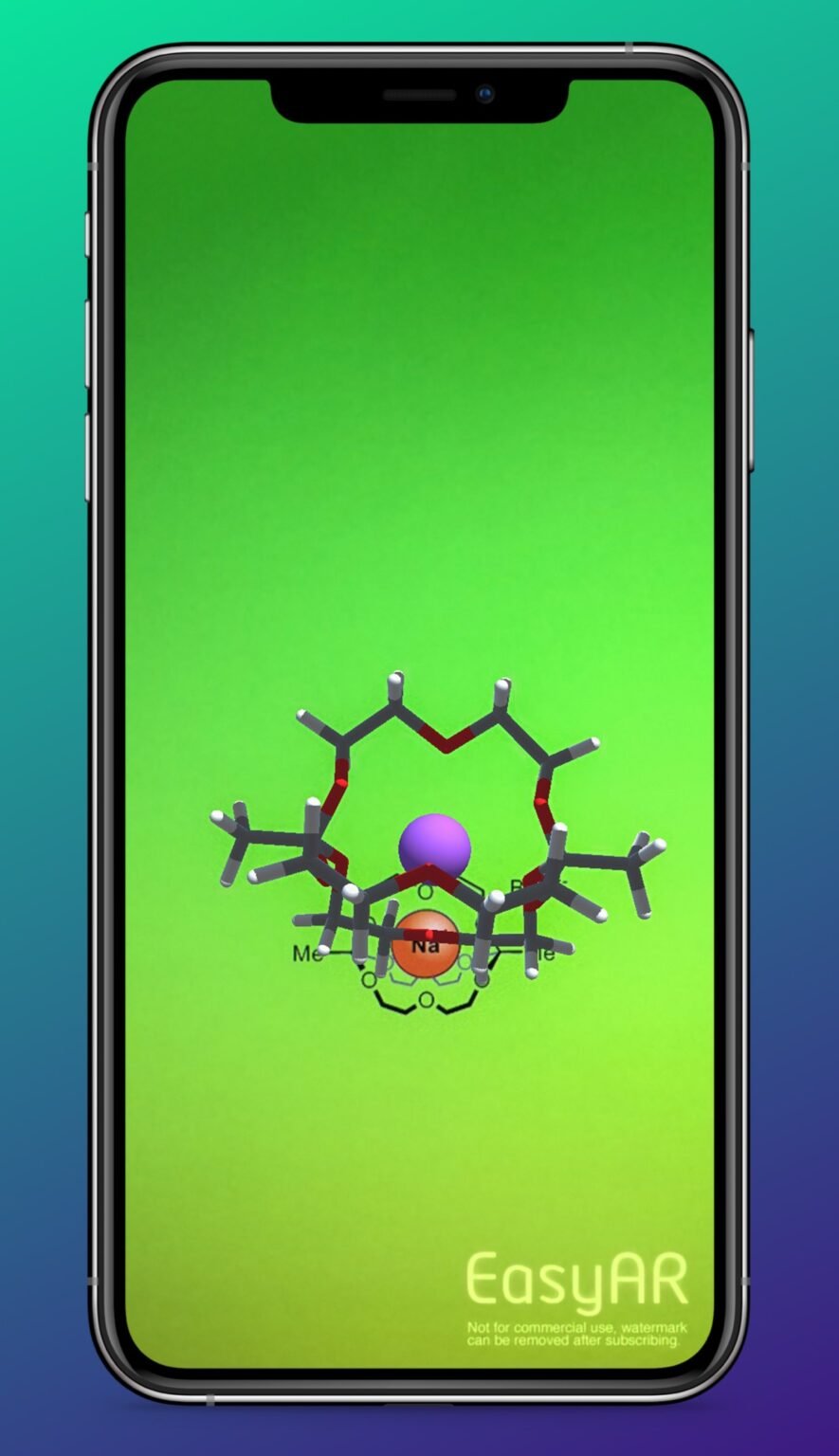 Delius Lab – Teaching